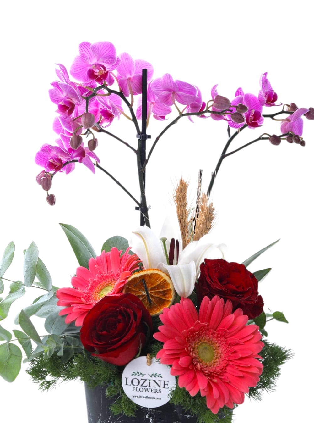 Midi Orkide ve Aranjman | Lozine Flowers